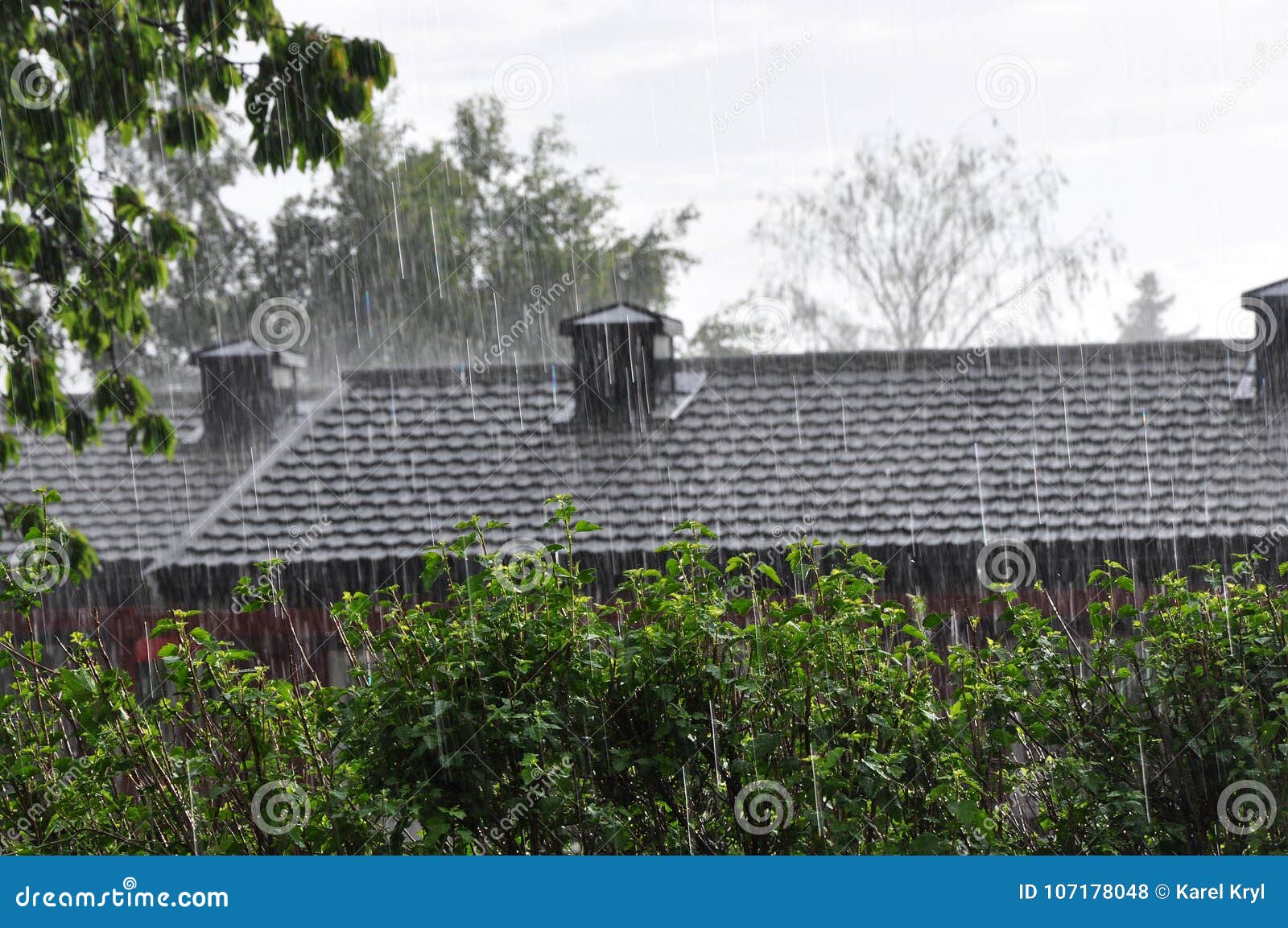 Afternoon Heavy Rain Falling on the Roof. Stock Photo - Image of june ...