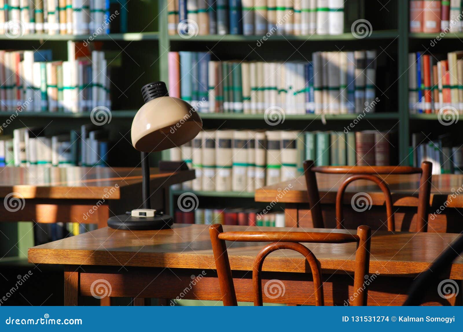 Afternoon Lights in the Library Stock Photo - Image of antique, vintage ...
