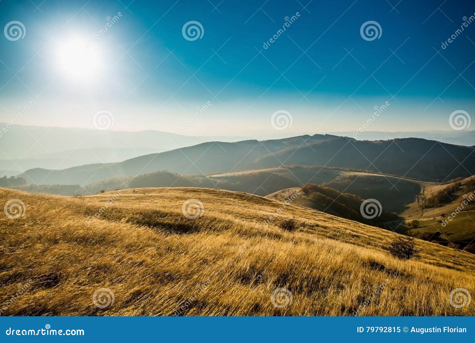 Morning Afternoon Field Landscape Stock Photos - Download 1,794 Royalty ...