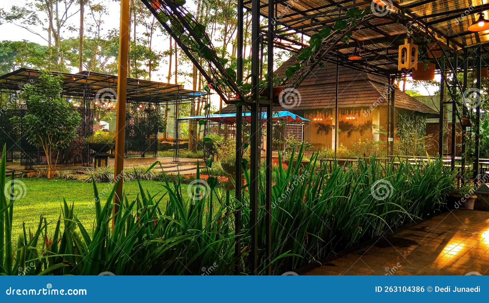 Afternoon at One of the Nature-themed Restaurants Stock Photo - Image ...
