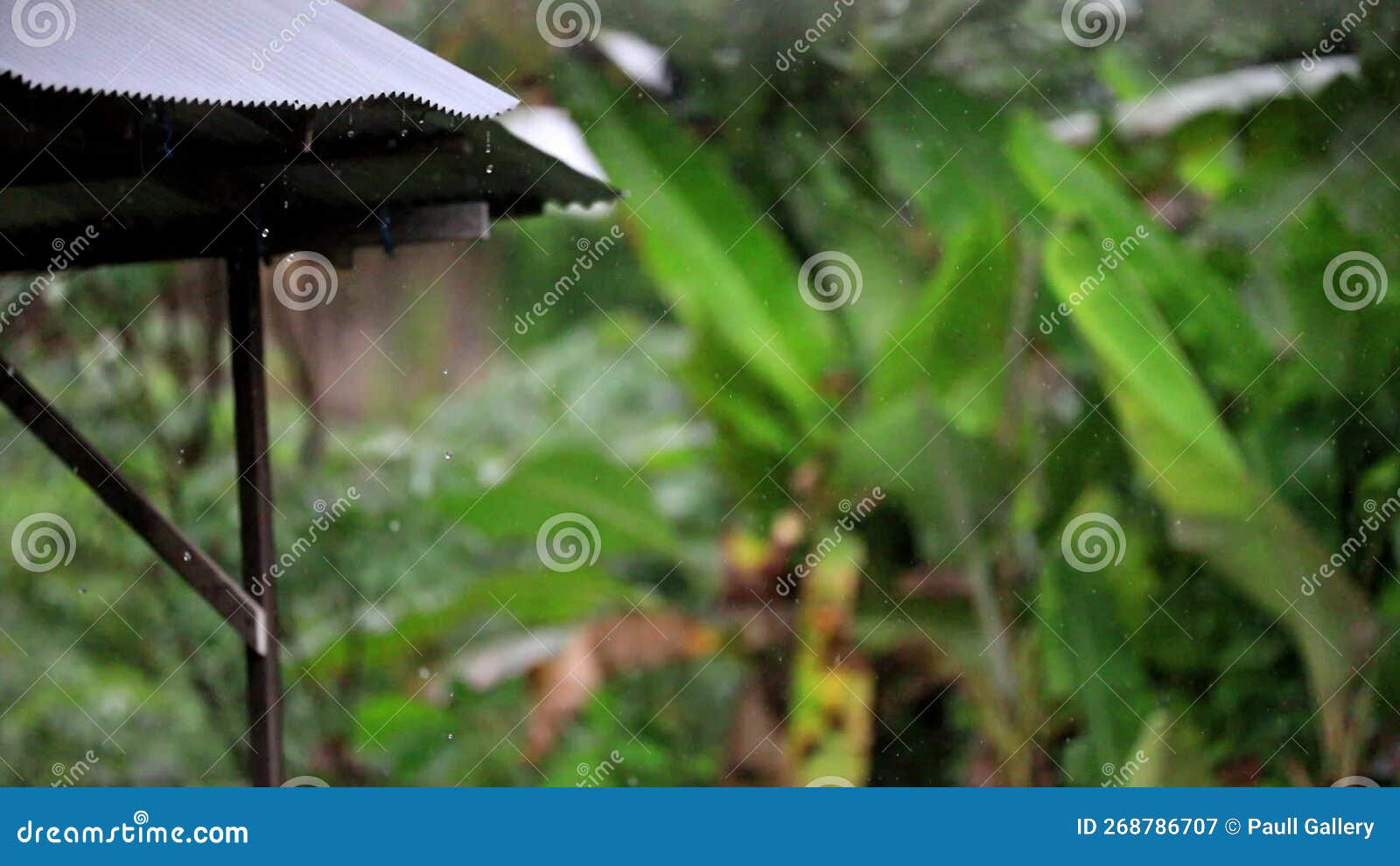 Rain on the Corner of the House Stock Video - Video of architecture ...