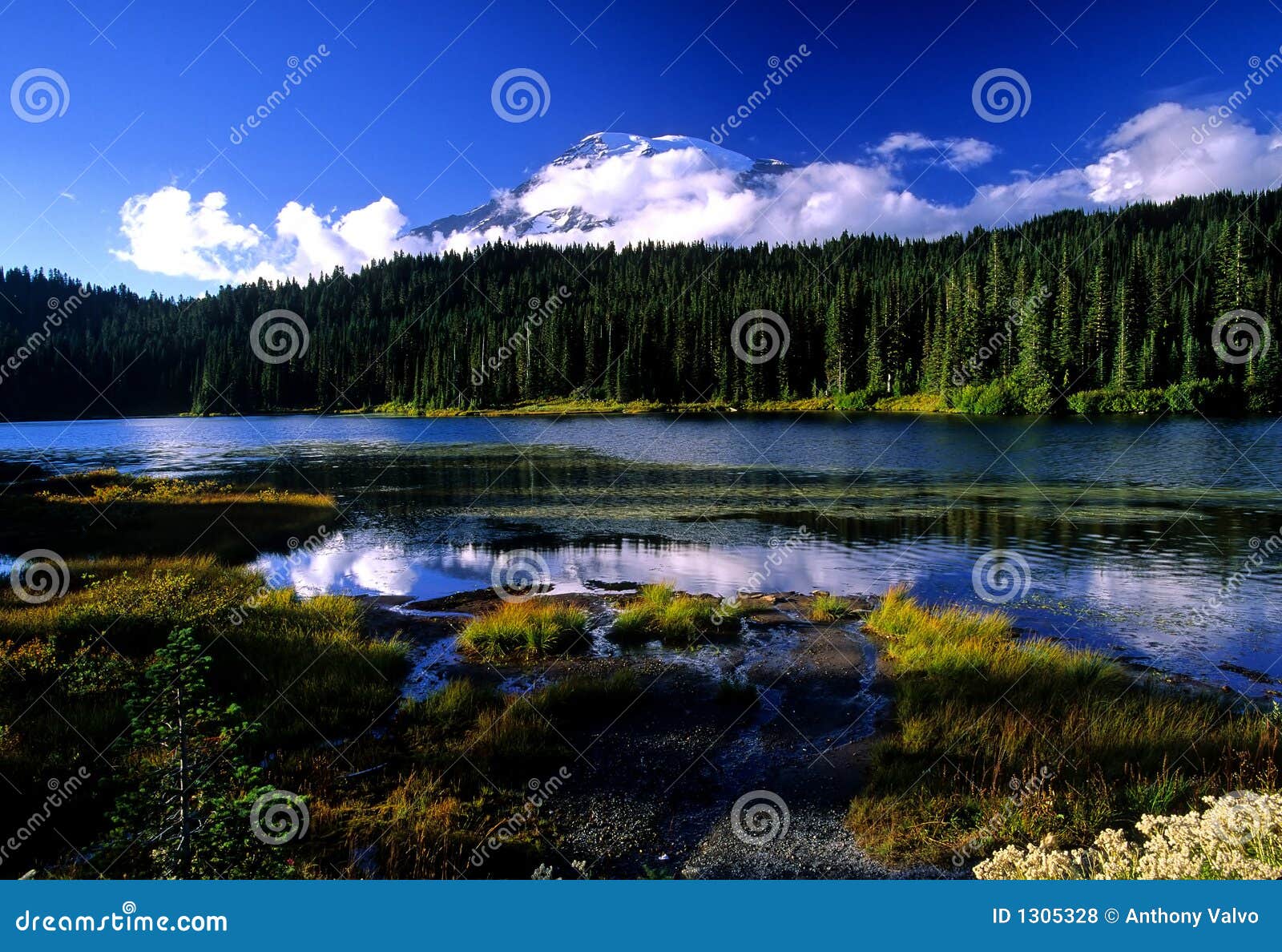 Afternoon at Reflection Lake Stock Photo - Image of state, northwest ...