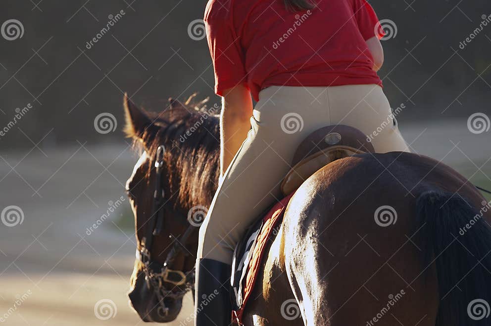 Afternoon ride stock image. Image of race, recreational - 1410247