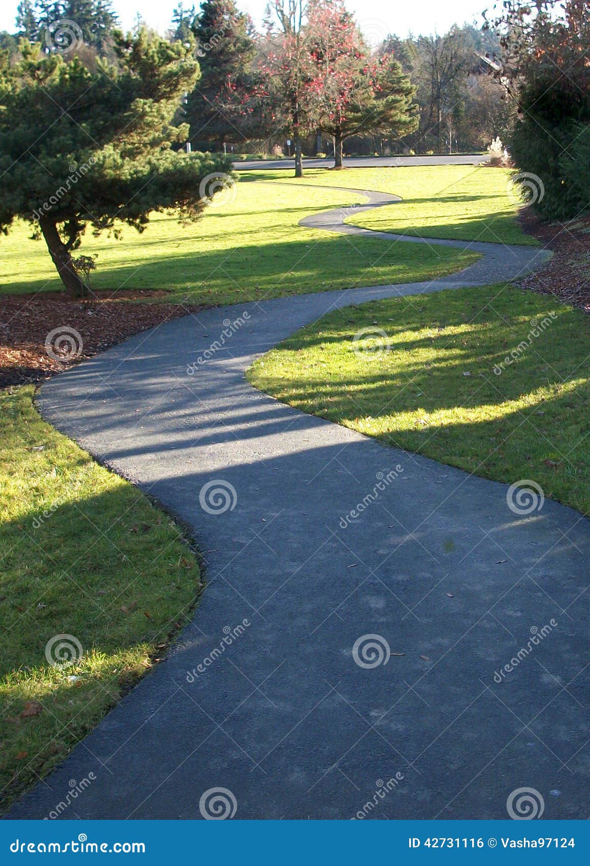 Afternoon saunter stock photo. Image of strolling, jogging - 42731116