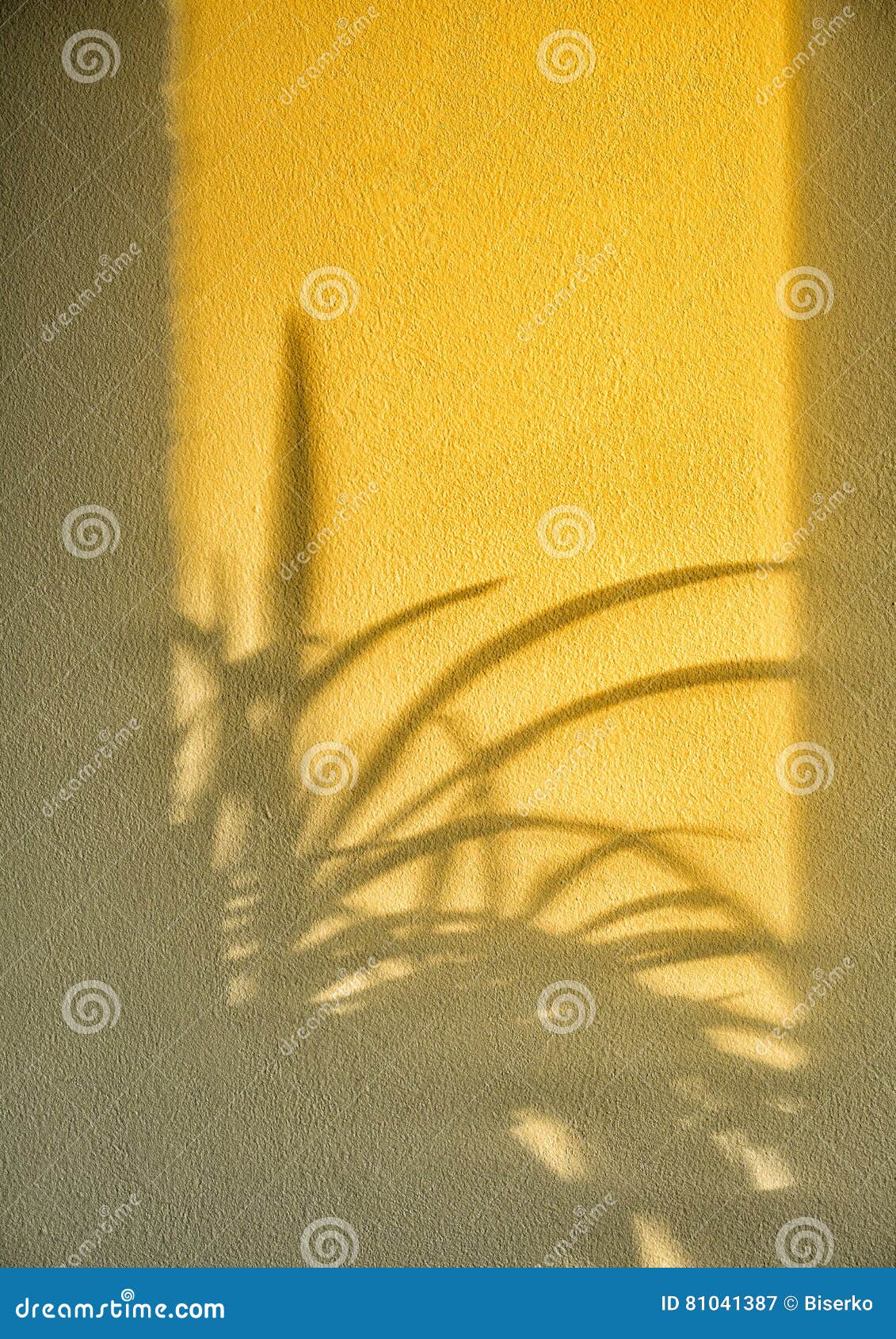 Afternoon Shadow on the Wall Stock Image - Image of life, discovery ...