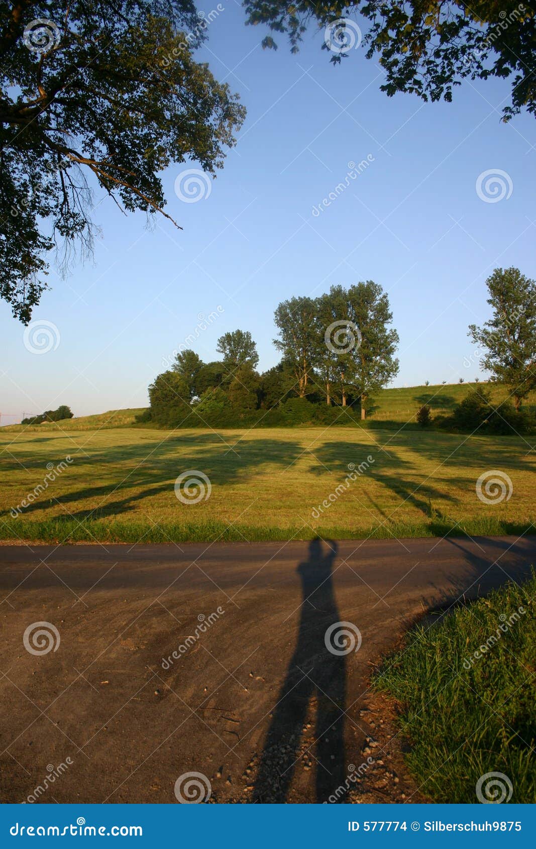 Afternoon shadows stock photo. Image of country, evening - 577774