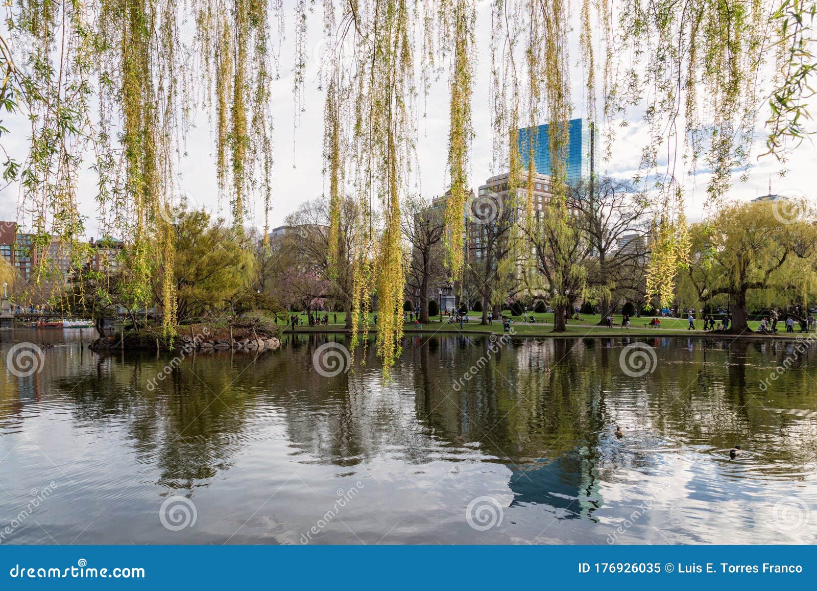 Springtime in Boston, Massachusetts Stock Image - Image of flower ...