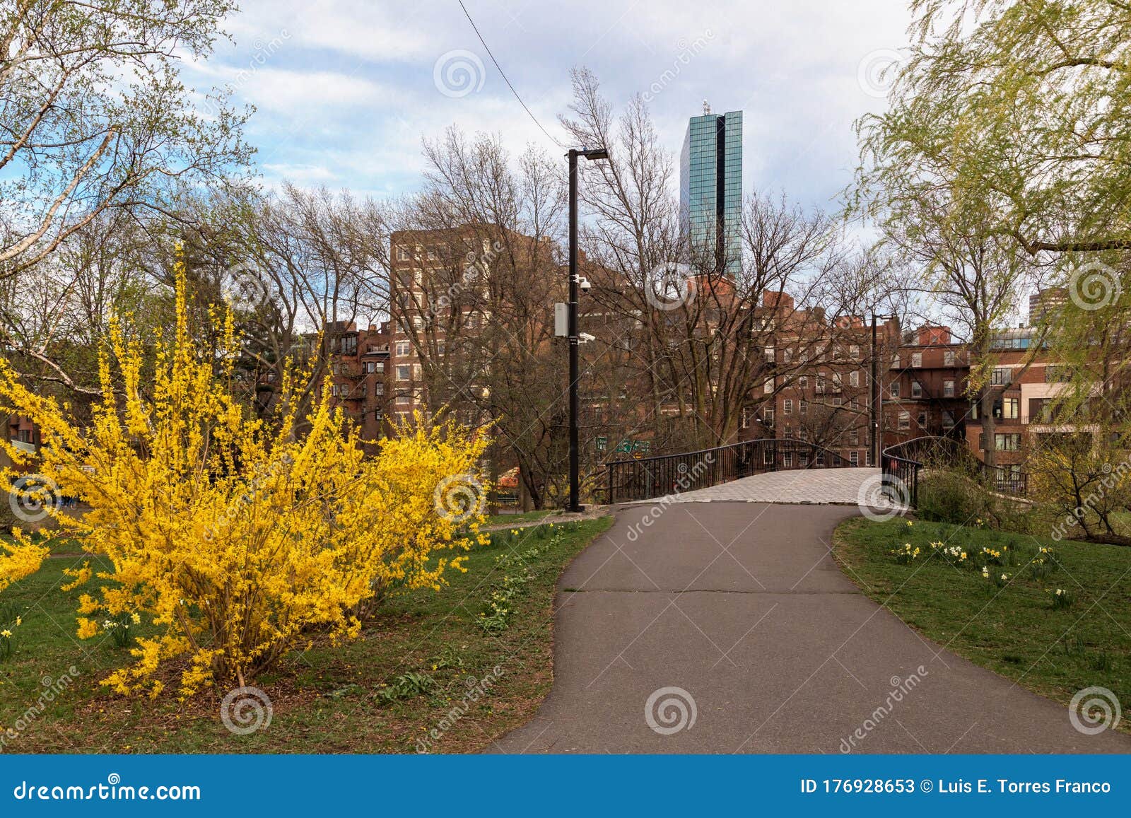 Springtime in Boston, Massachusetts Stock Image - Image of nature ...