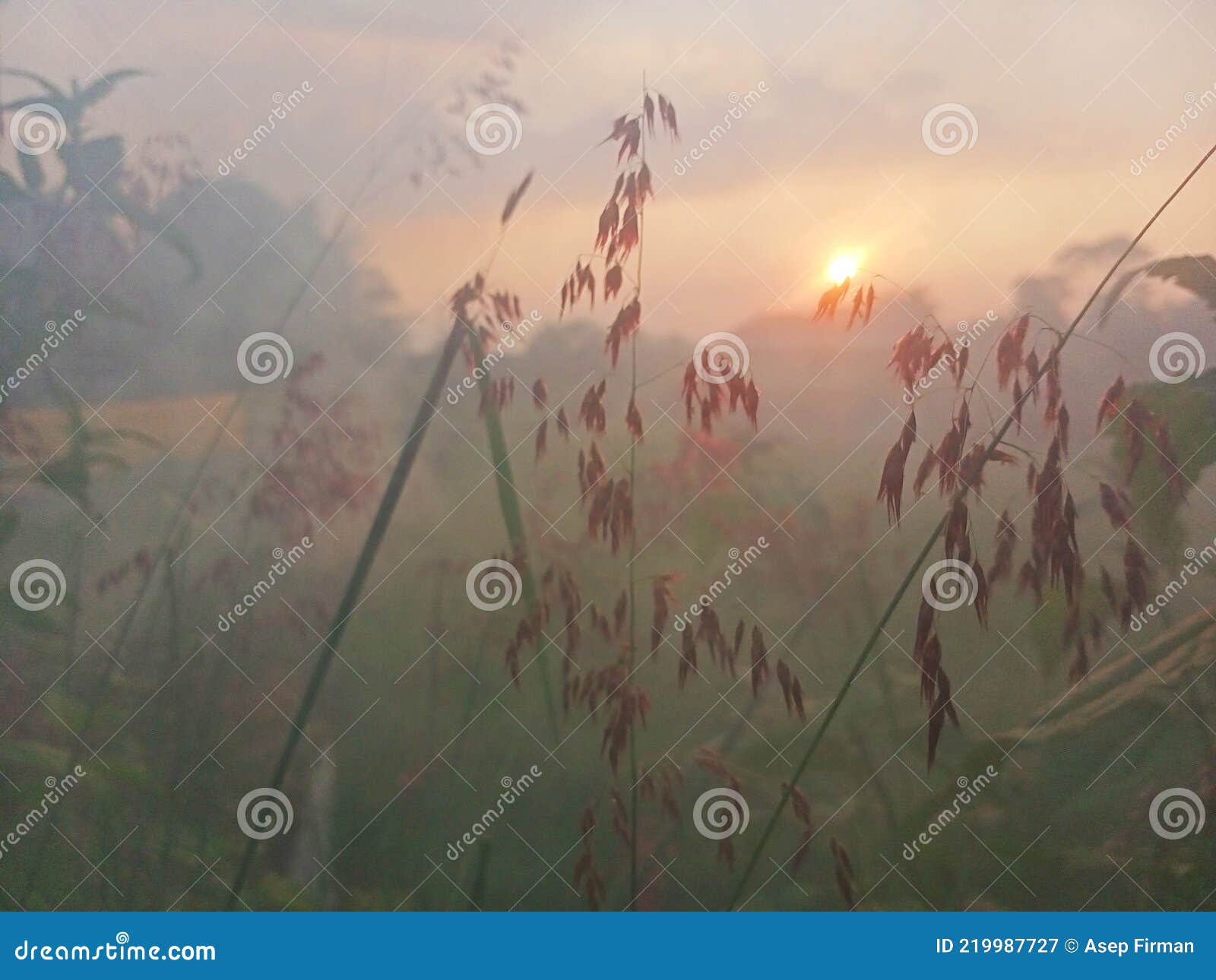 Afternoon in Sukabumi, West Java, Indonesia is Full of Smoke Stock ...