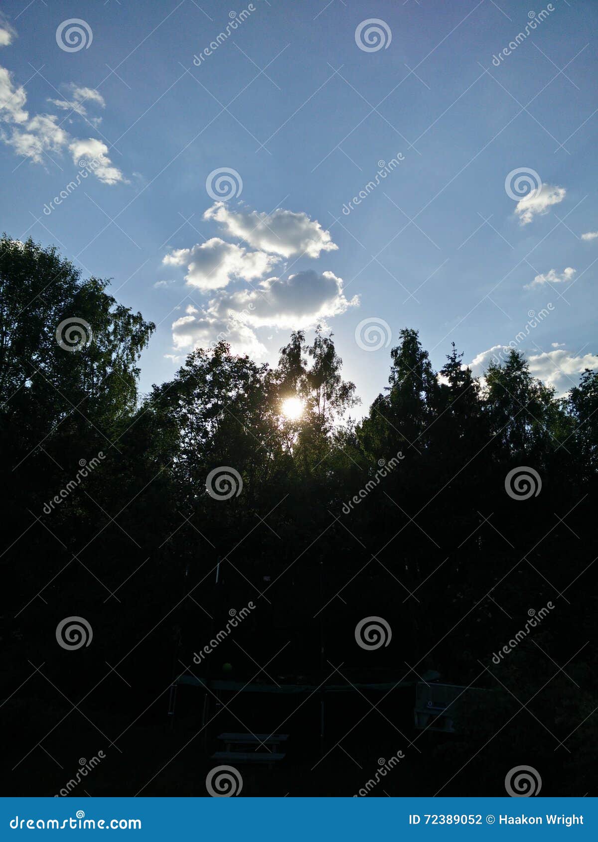 Afternoon sun stock photo. Image of afternoon, blue, trees - 72389052