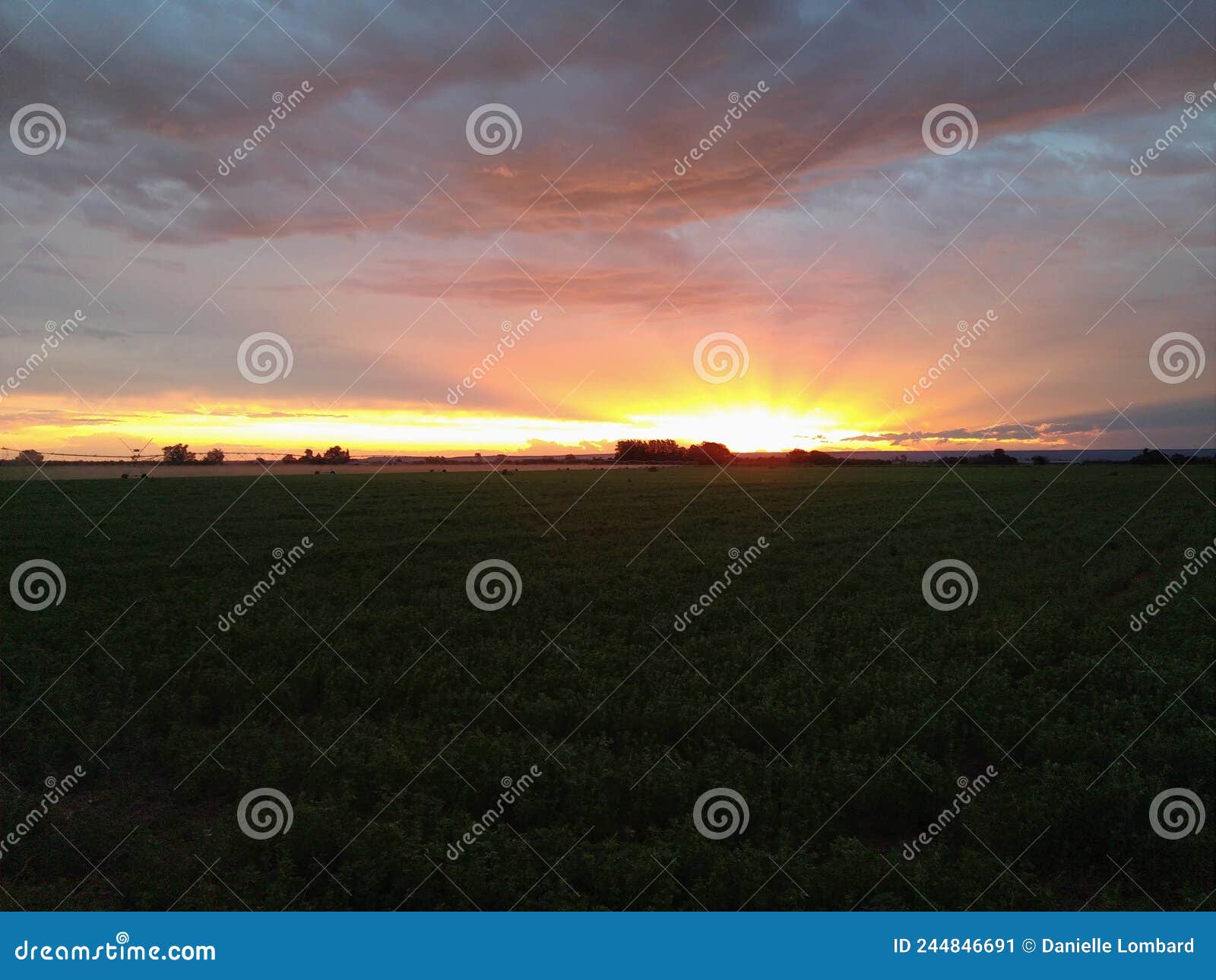 Afternoon sunset stock image. Image of hill, afterglow - 244846691