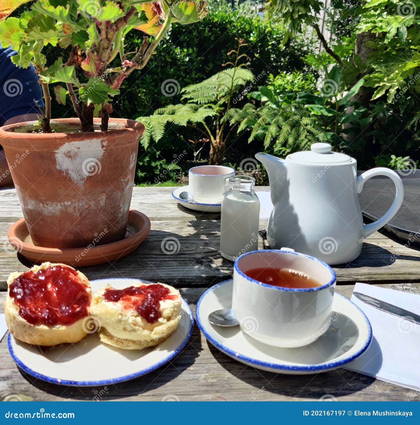 Afternoon tea happy summer stock image. Image of dessert - 202167197