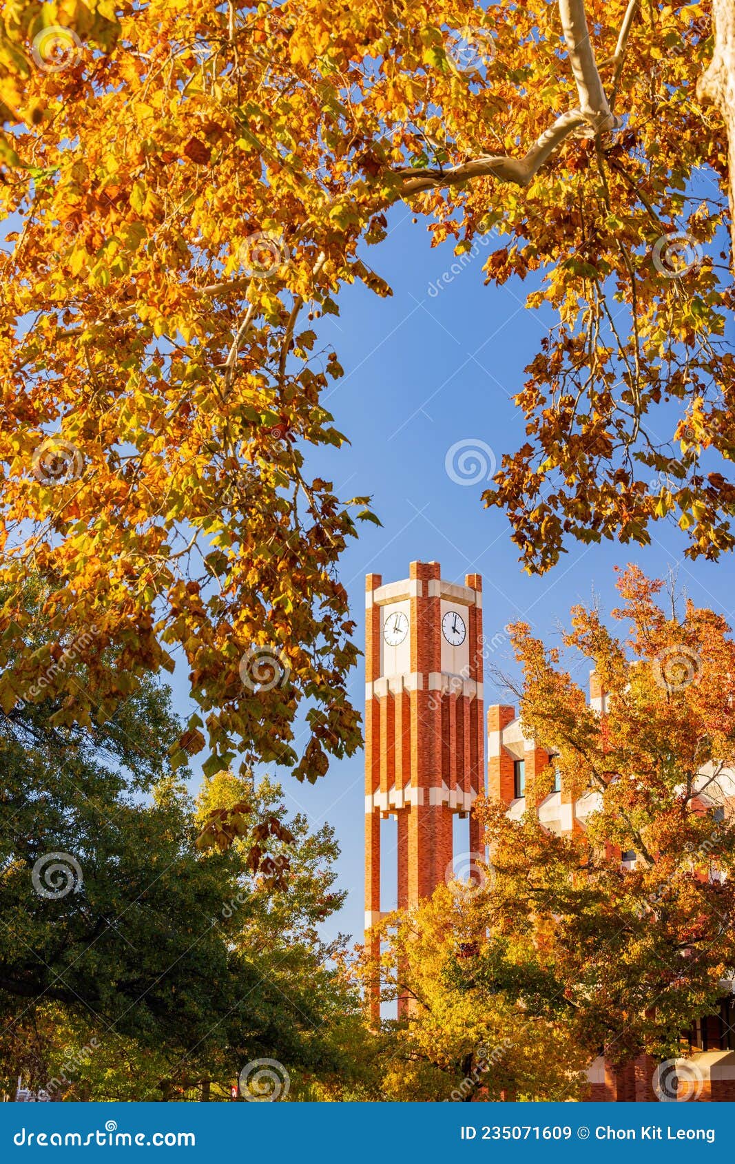 Afternoon View of the Clock Tower of Univeristy of Oklahoma Editorial ...
