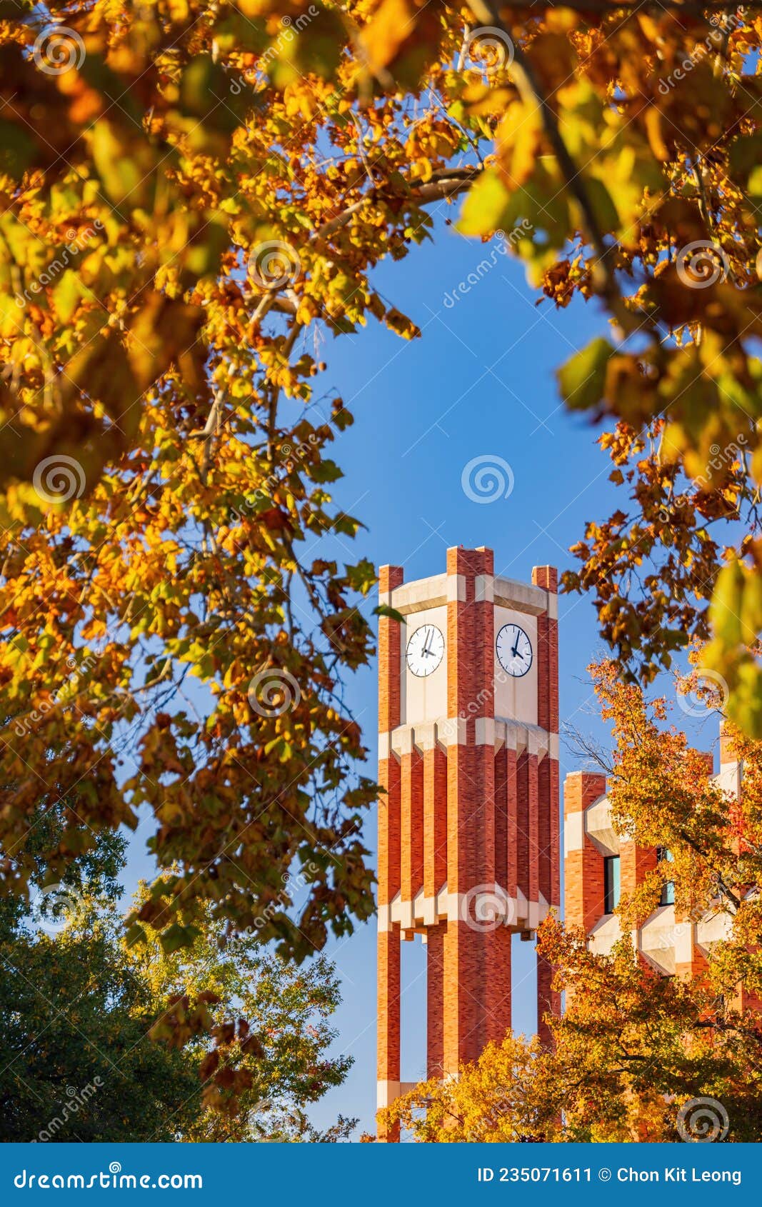 Afternoon View of the Clock Tower of Univeristy of Oklahoma Editorial ...