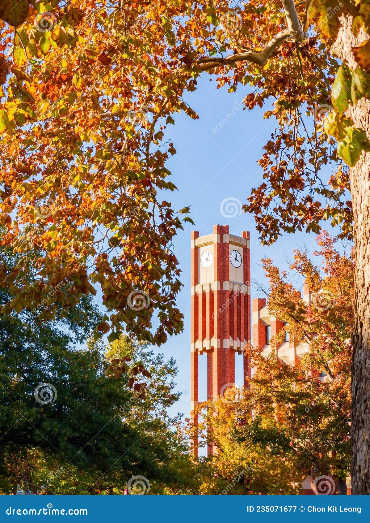 Afternoon View of the Clock Tower of Univeristy of Oklahoma Editorial ...