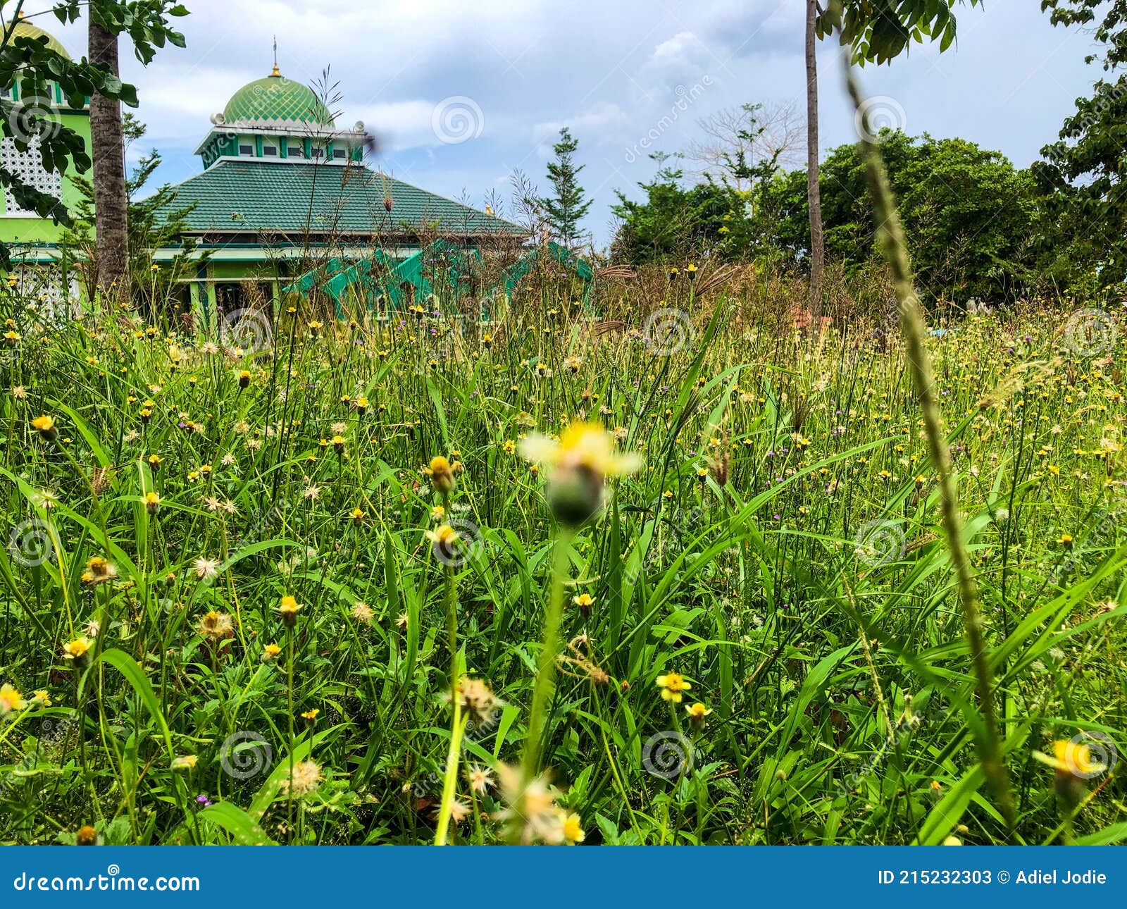 Afternoon view of mosque stock image. Image of grass - 215232303