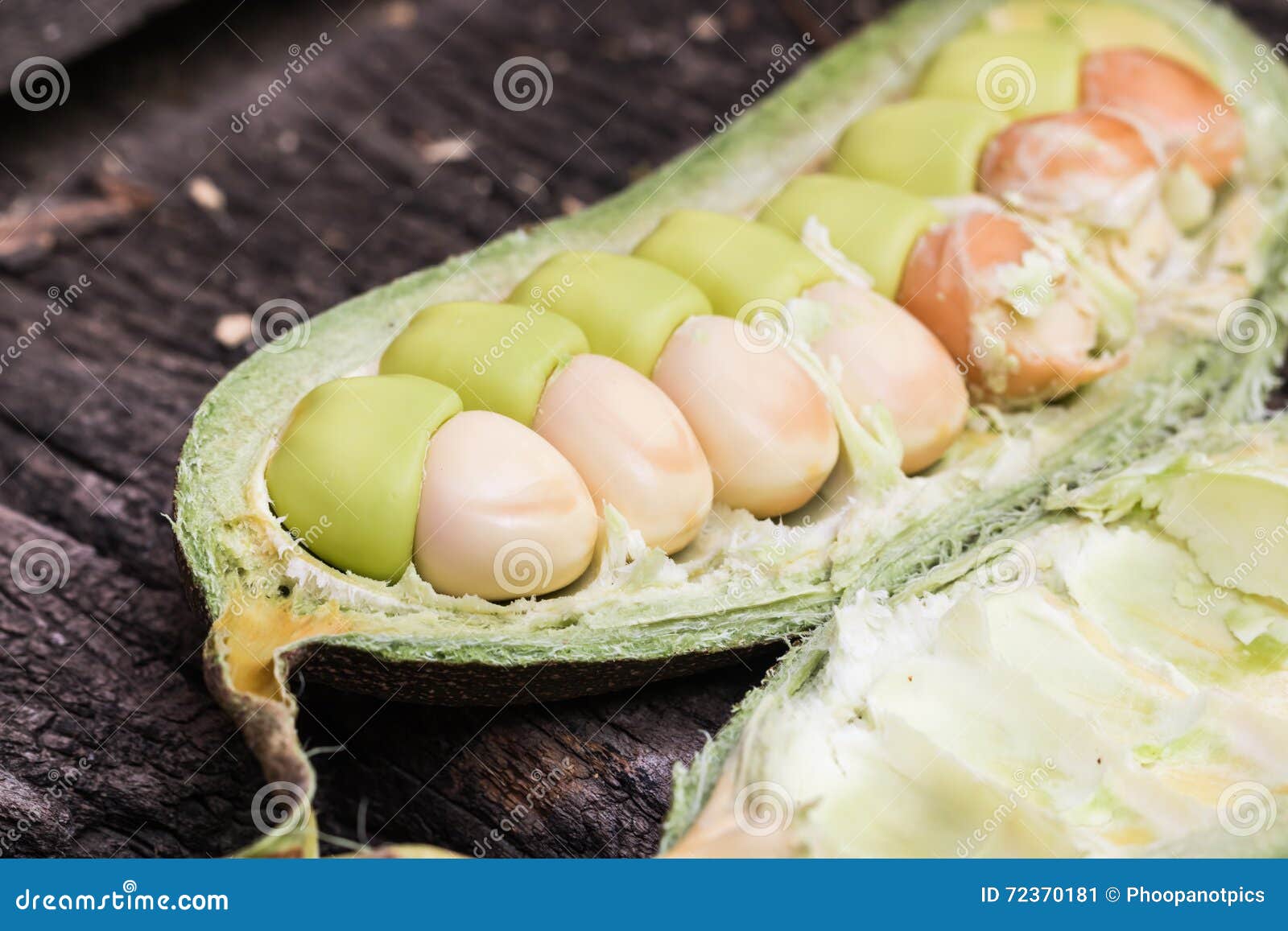 Afzelia Xylocarpa (Kurz) Craib Stock Image - Image of xylocarpa, craib ...