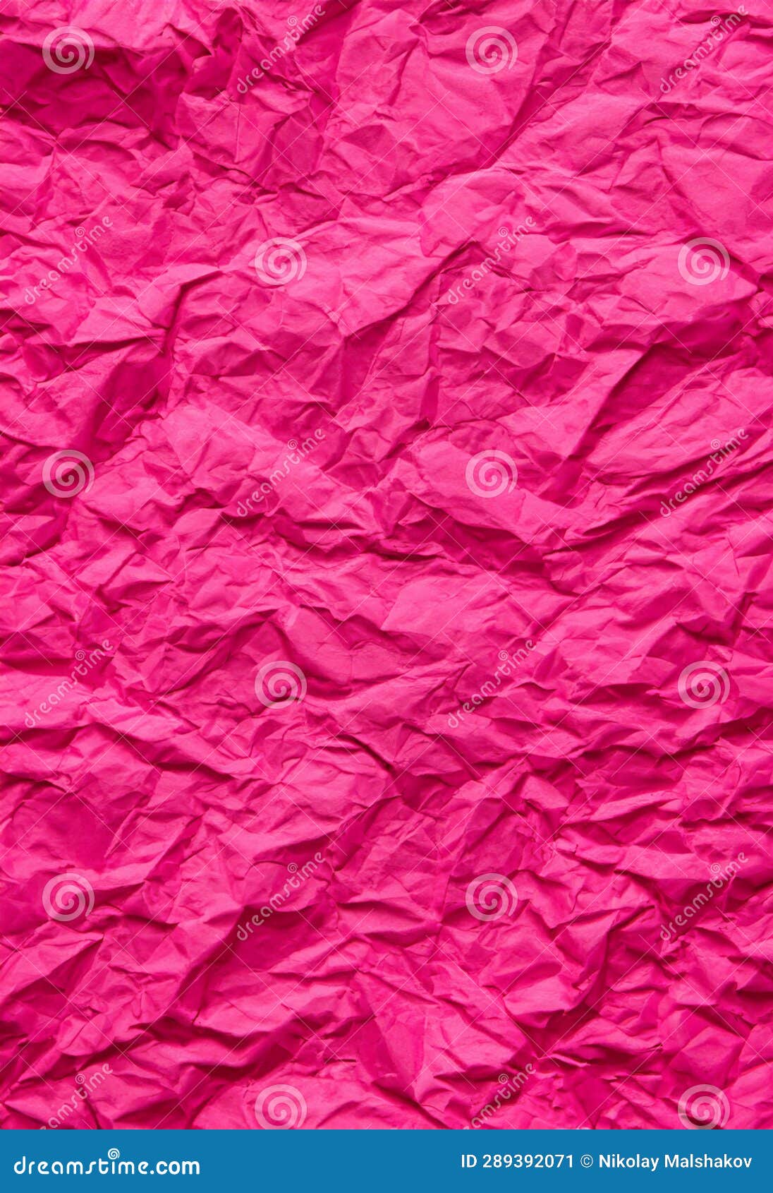 Against this Backdrop, Designs and Patterns Find a Harmonious Canvas ...