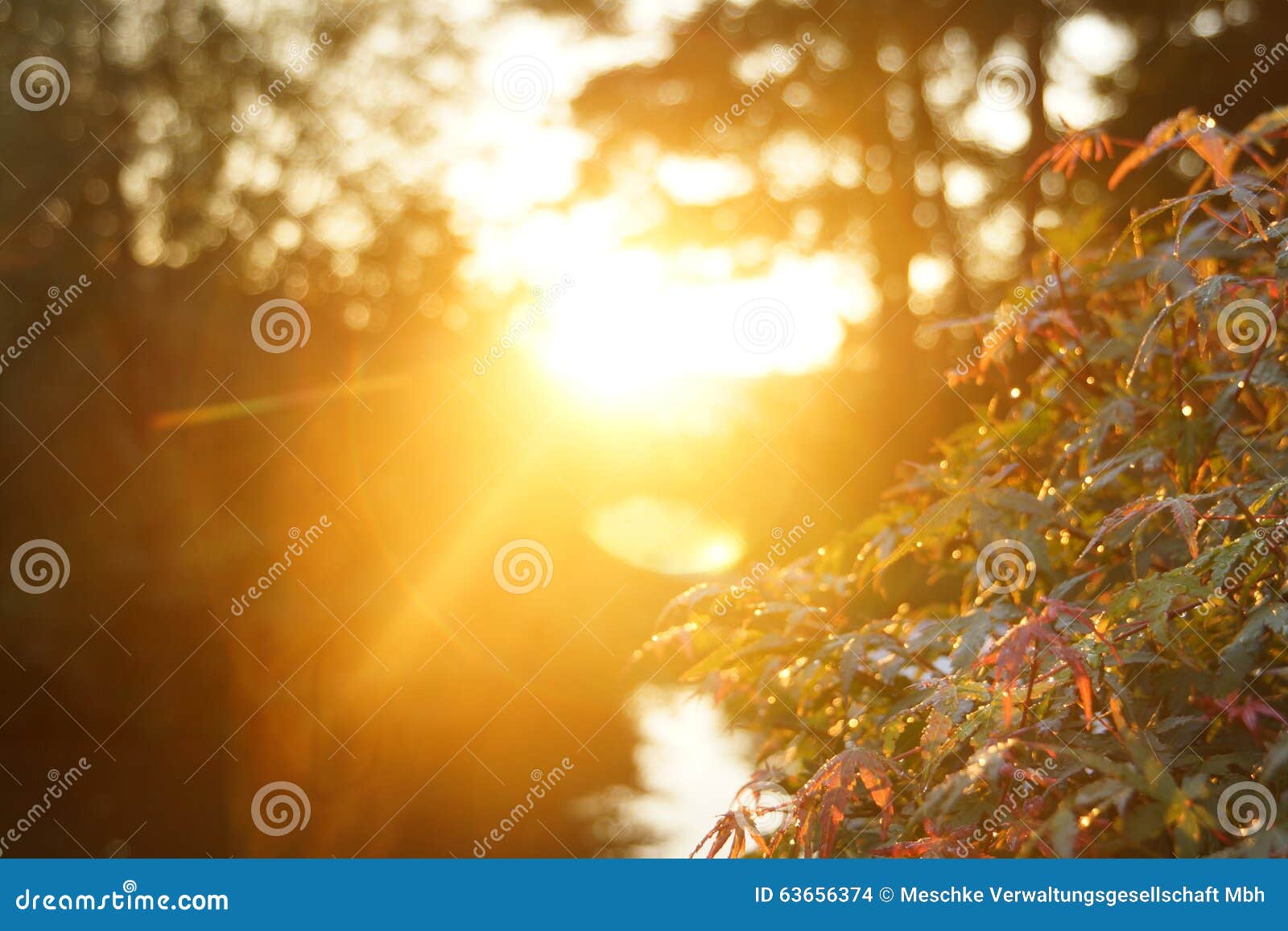 Against the light stock photo. Image of japan, buddha - 63656374