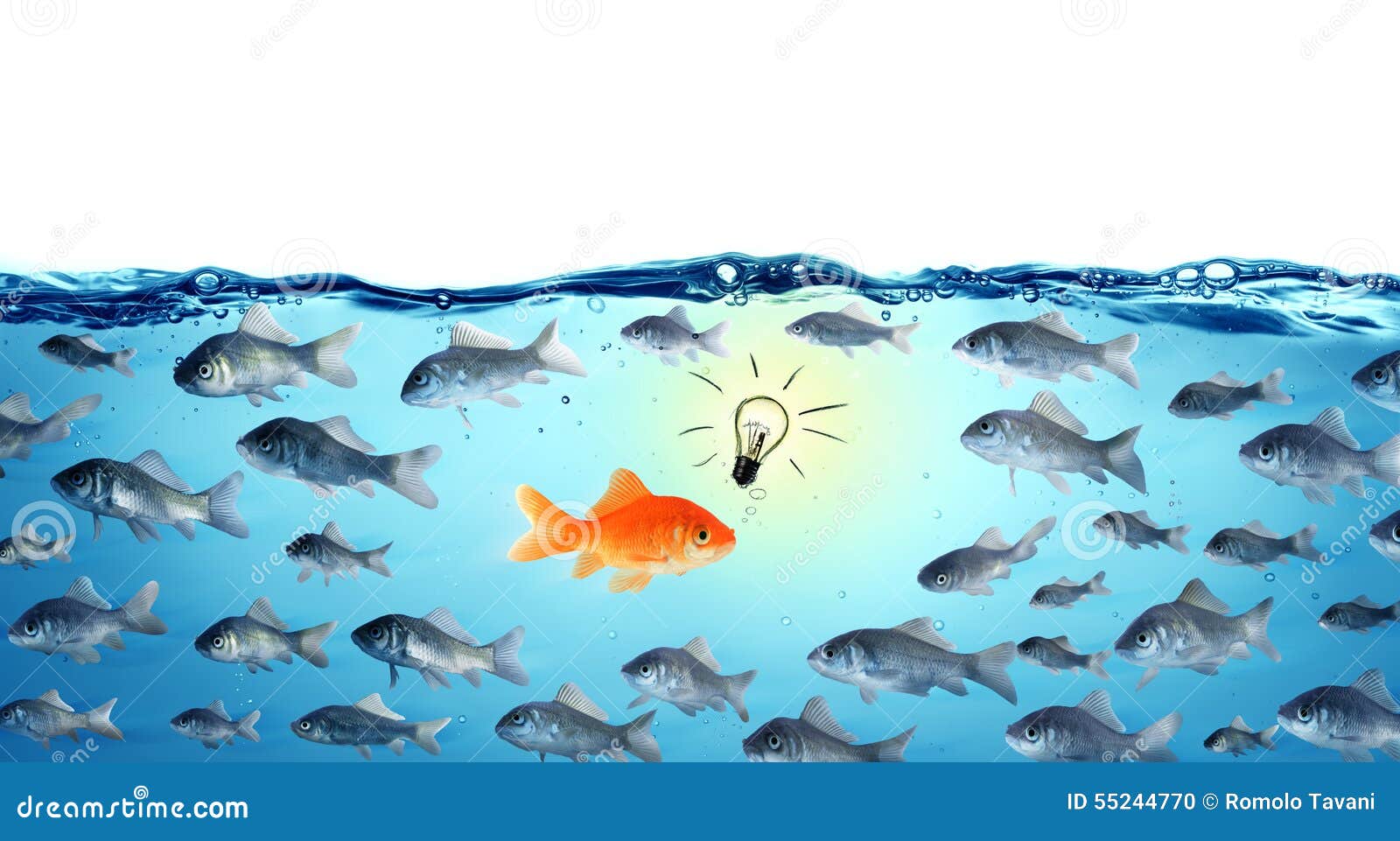 Against the Stream - Opposite Concept Stock Photo - Image of business ...