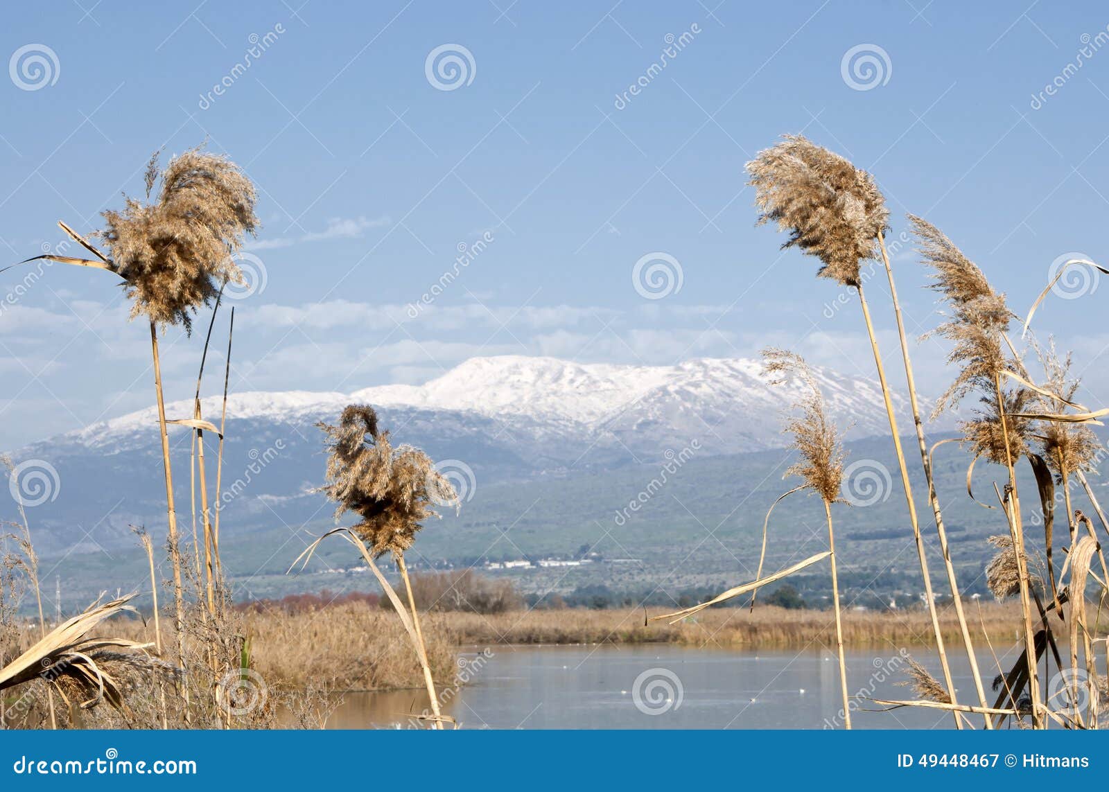 Agamon Hula Bird Refuge, Hula Valley, Israel Stock Image - Image of ...