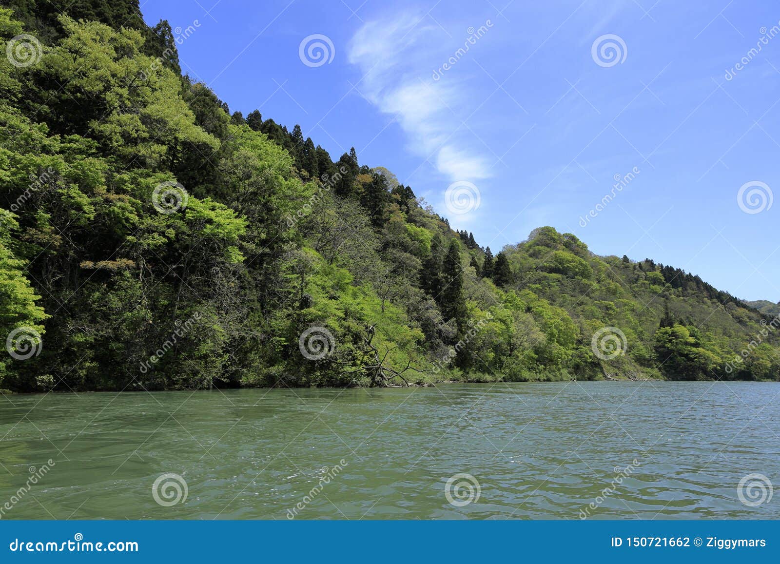Agano river stock photo. Image of niigata, blue, tree - 150721662