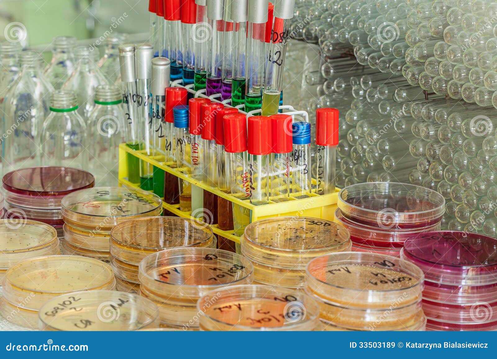 Agar plates and test tubes stock image. Image of liquid - 33503189