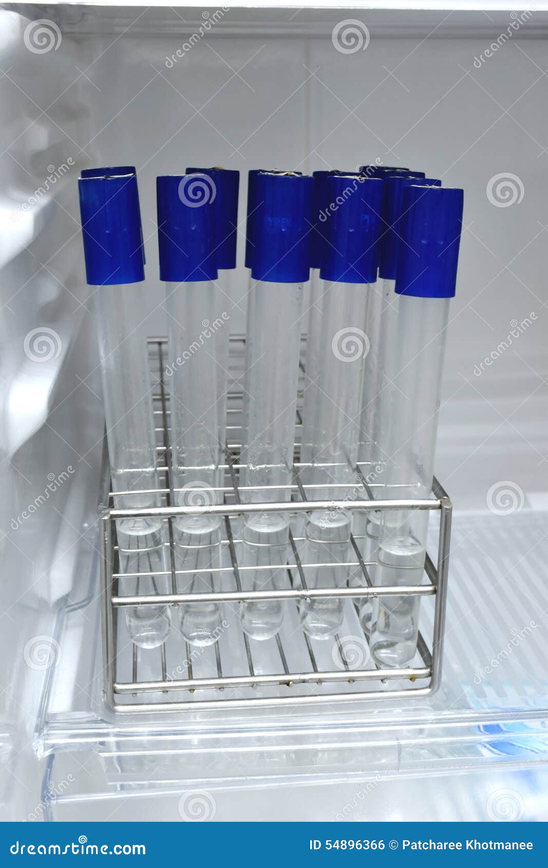 Agar in Test Tube Rack for Testing Microbiology Laboratory Stock Photo ...