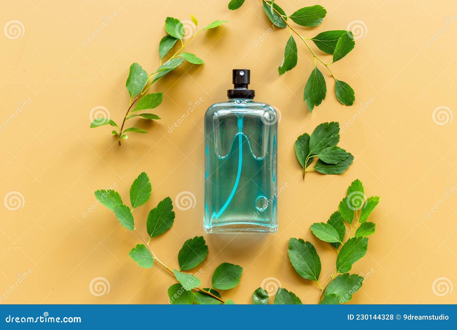 Agar Wood Tree with Arabian Oud Oil Perfume Stock Photo - Image of ...