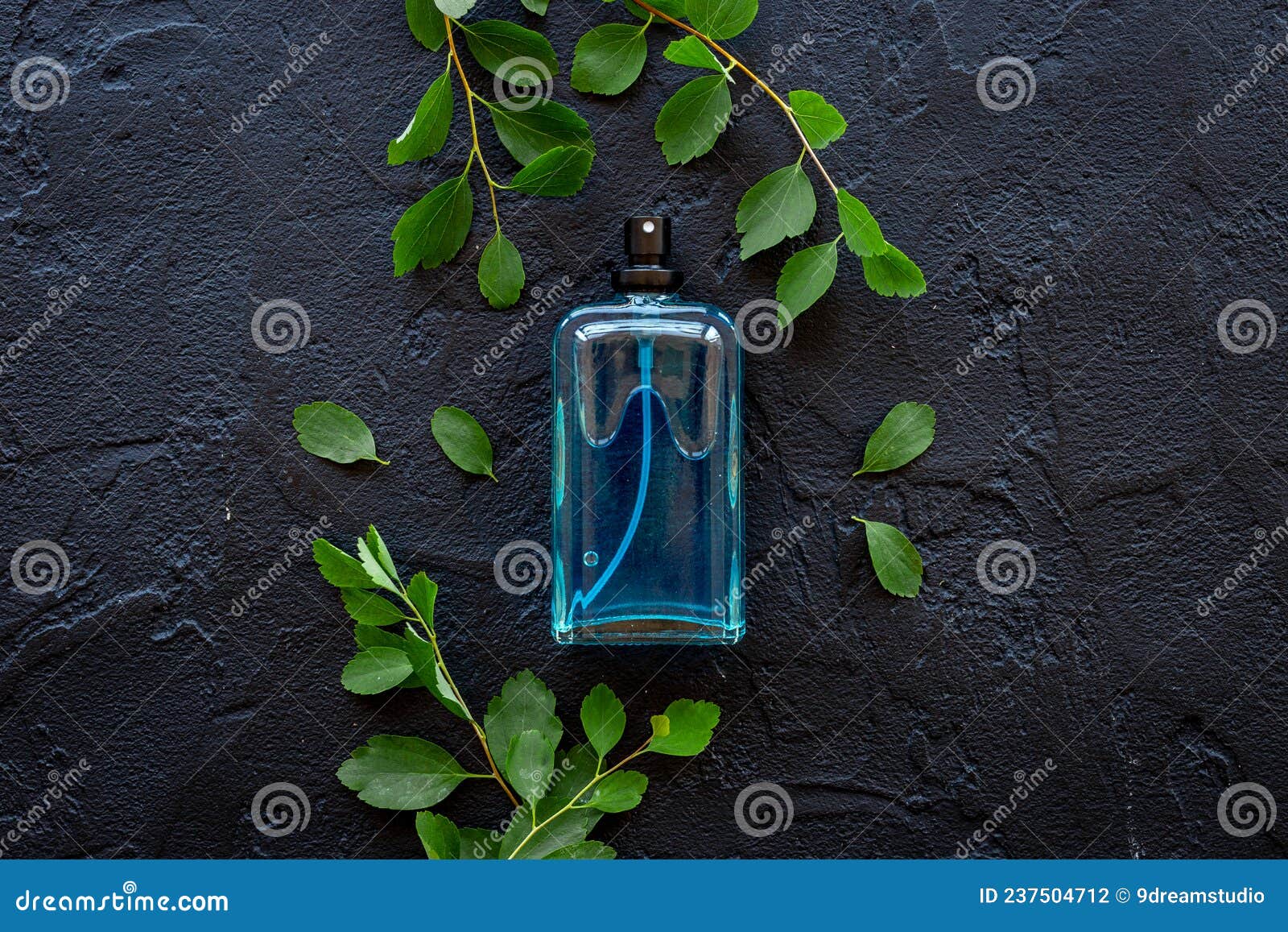 Agar Wood Tree with Arabian Oud Oil Perfume Stock Photo - Image of agar ...