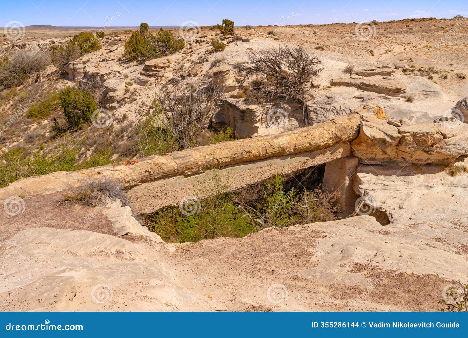 Agate Bridge is a Partially Exposed Petrified Log at the Petrified ...