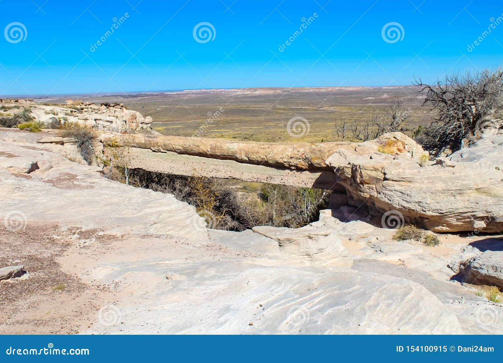 Agate Bridge in Petrified Forest National Park Stock Image - Image of ...