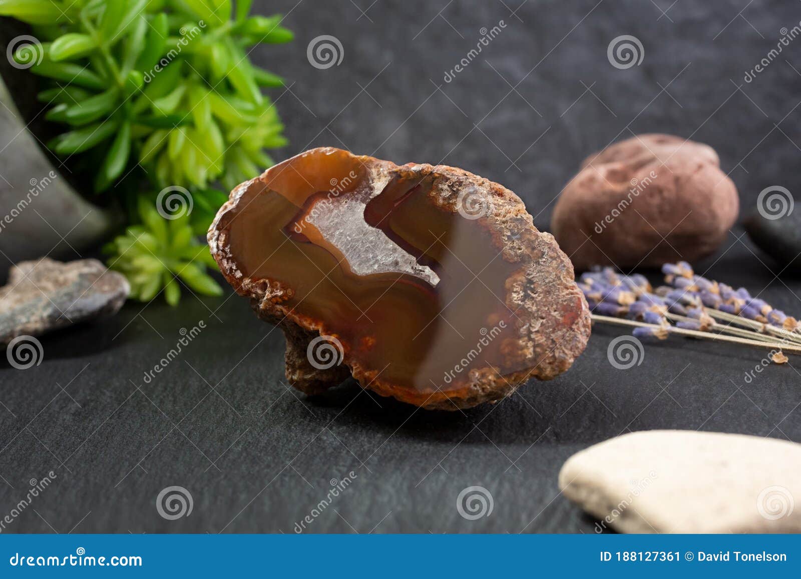Agate geode stock image. Image of sedimentary, igneous - 188127361