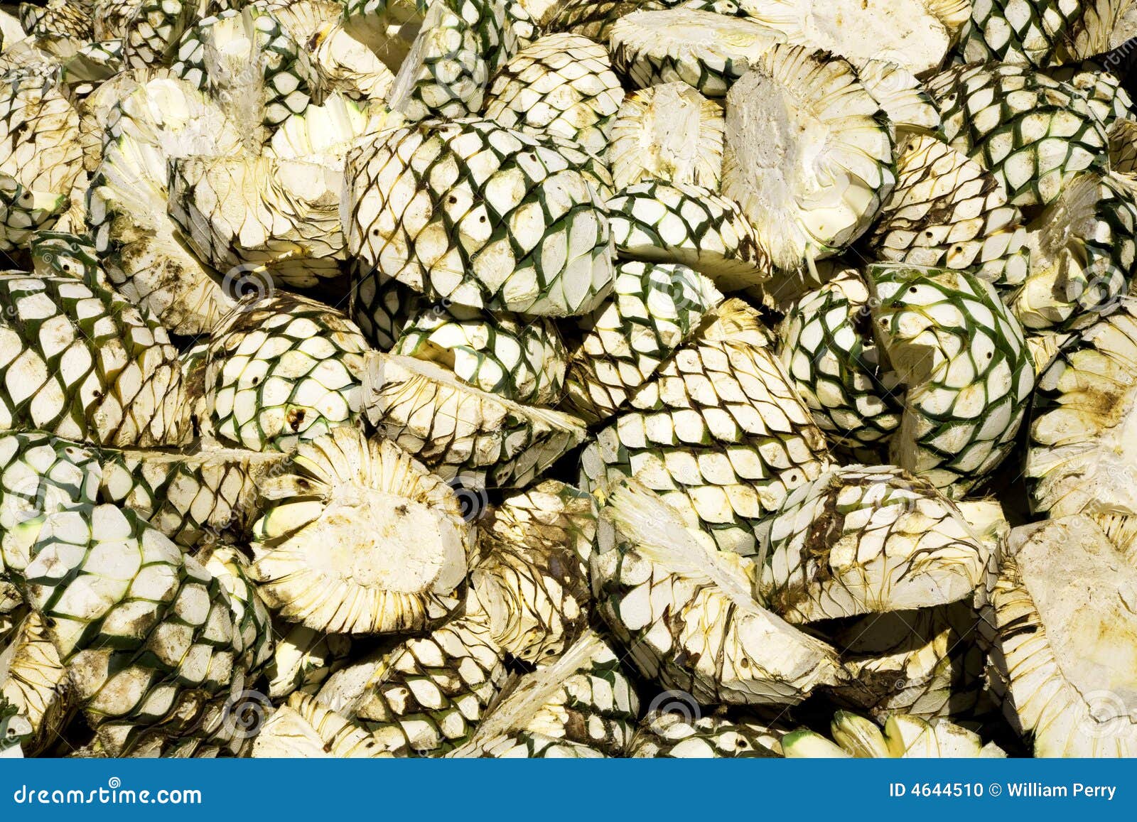 Oven With The Agave Pine Aka Pinas At The Process Of Tequila Production ...