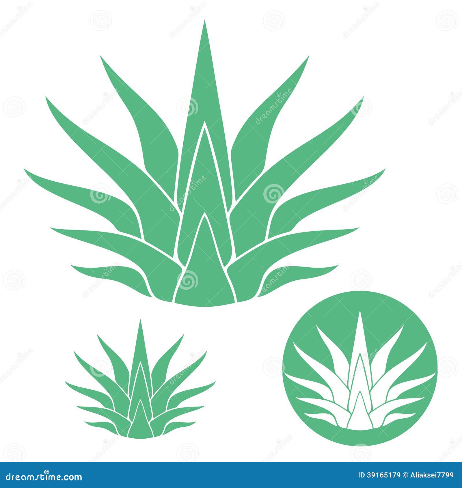 Agave stock vector. Illustration of green, nature, vector - 39165179