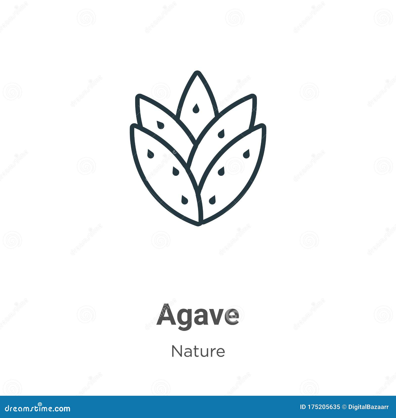 Agave Outline Vector Icon. Thin Line Black Agave Icon, Flat Vector ...