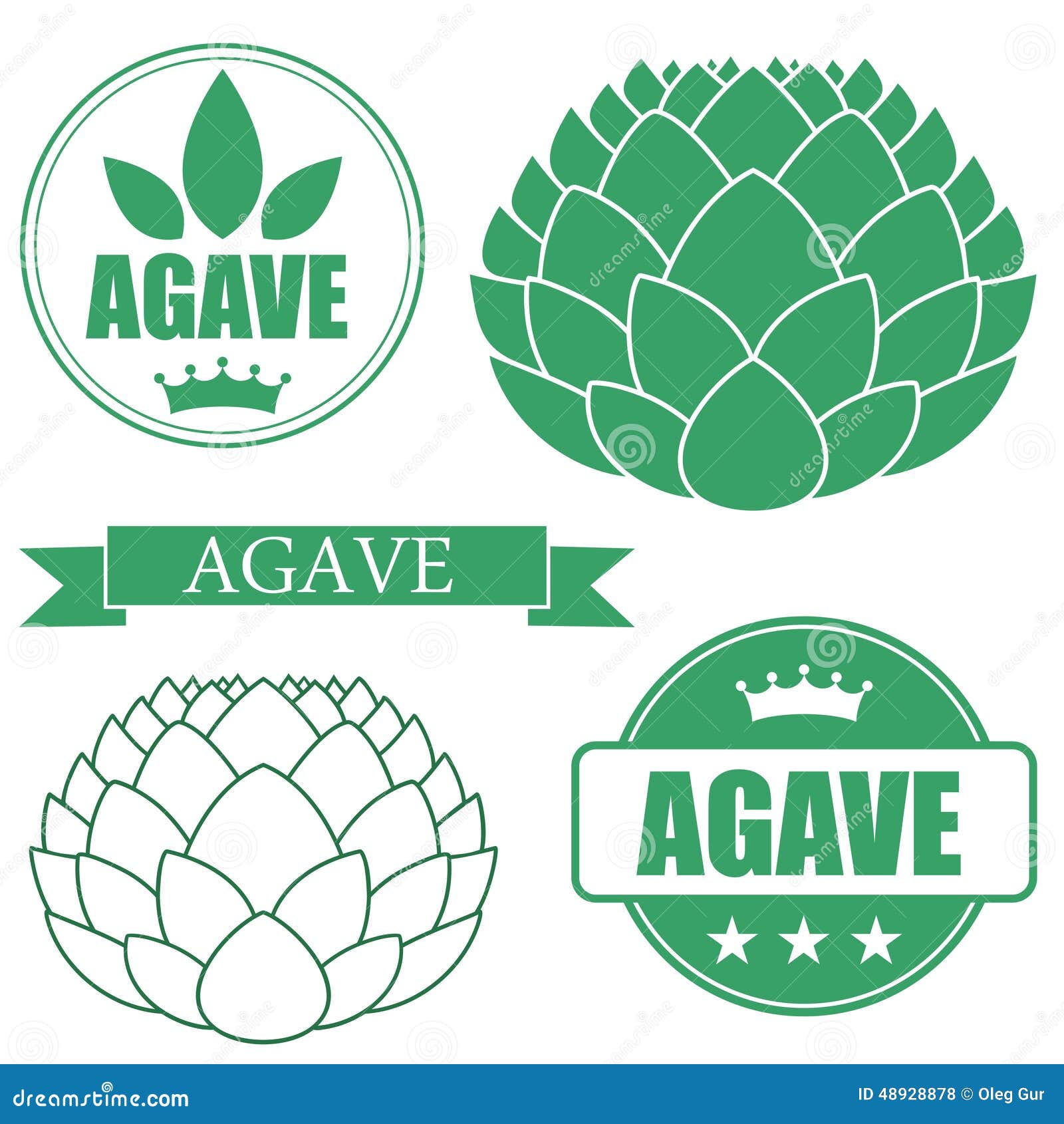 Agave stock vector. Illustration of green, unusual, vera - 48928878