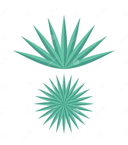 Agave stock vector. Illustration of flower, green, blue - 49615245