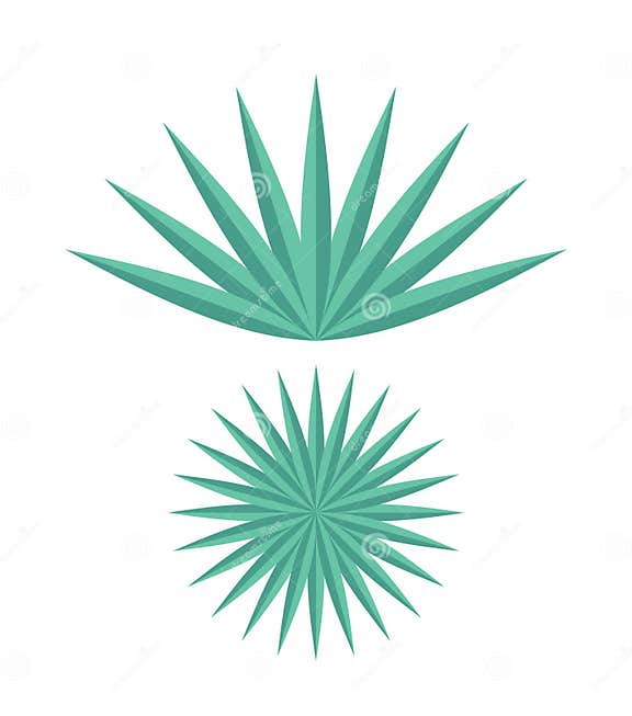 Agave stock vector. Illustration of flower, green, blue - 49615245