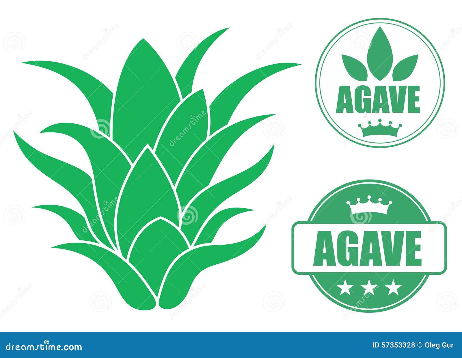 Agave stock vector. Illustration of vector, unusual, leaf - 57353328