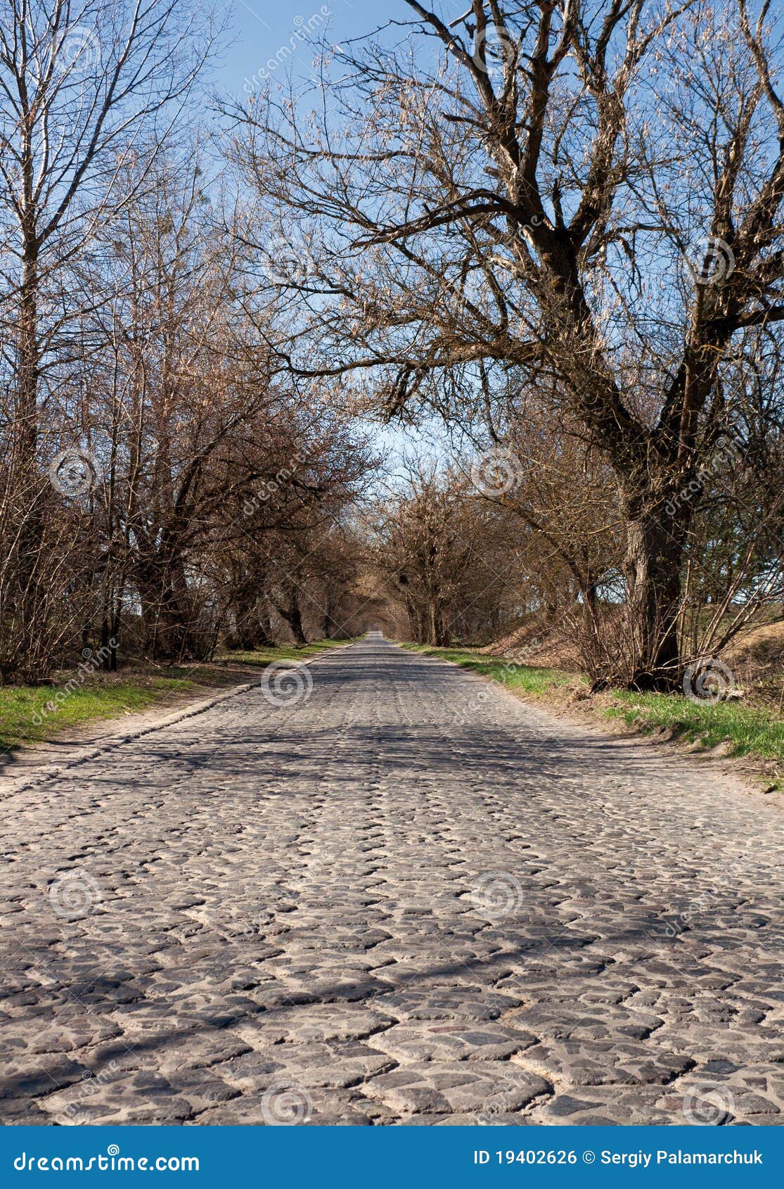 Age-old stone road stock photo. Image of road, ukraine - 19402626