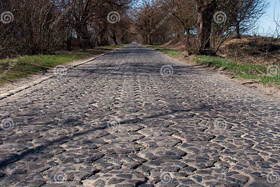 Age-old stone road stock image. Image of landscape, grass - 19402667