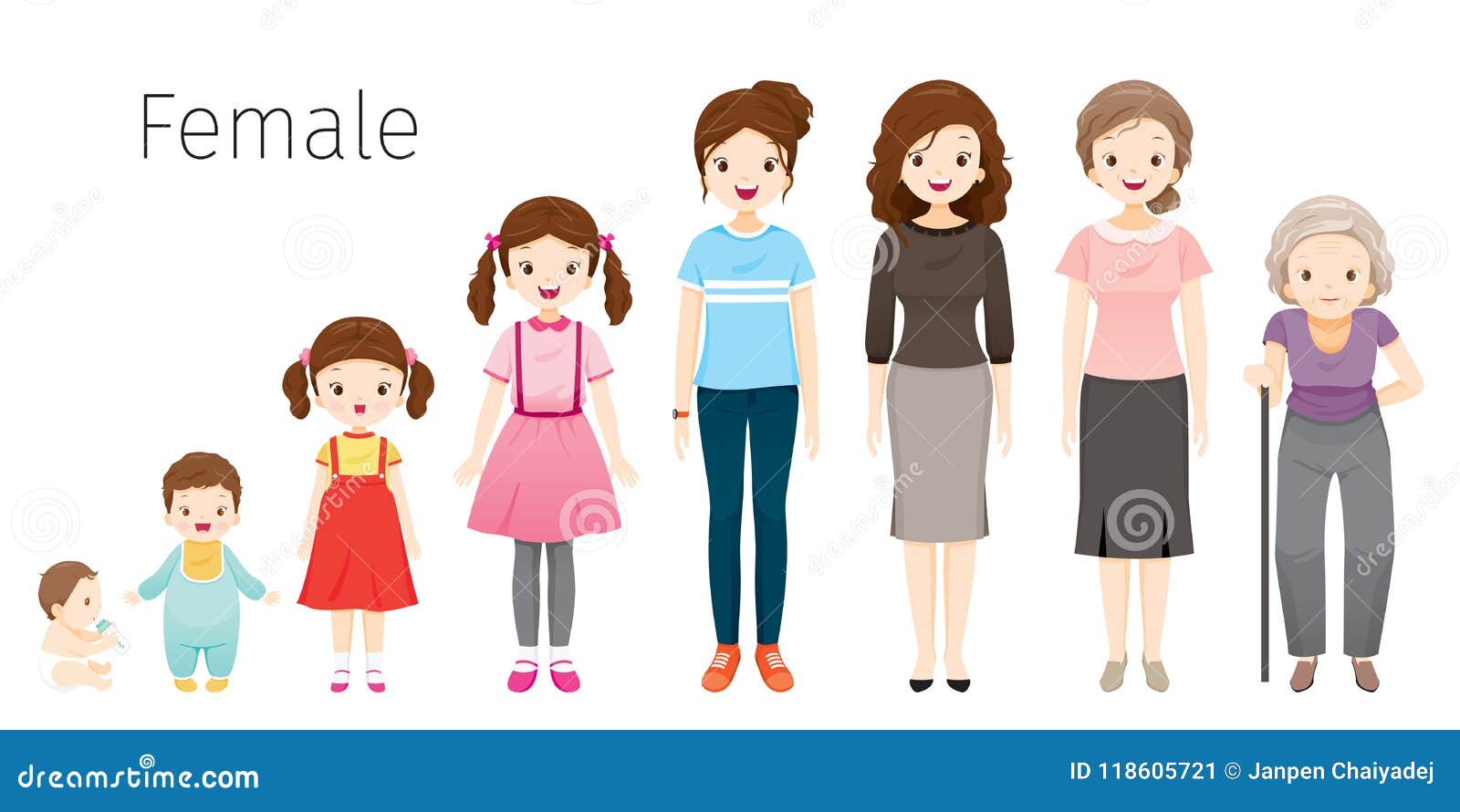 Human Lifespan Development Stages Human Lifespan Development Stages