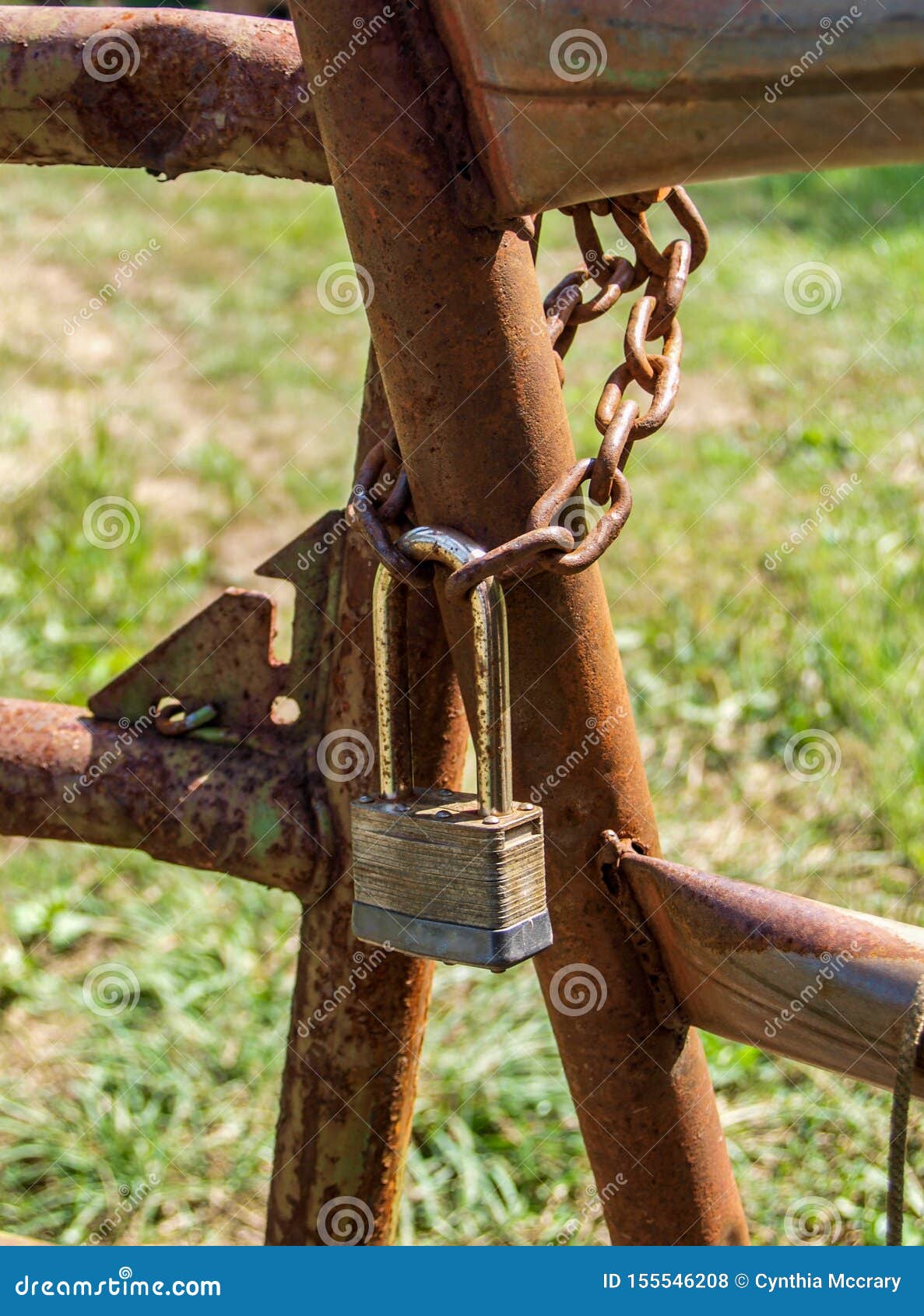 Chained and Padlocked Rusty Gate Stock Photo - Image of chain, aged ...