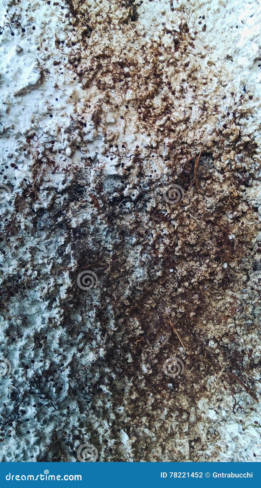 Aged backgrounds stock photo. Image of backdrop, backgrounds - 78221452