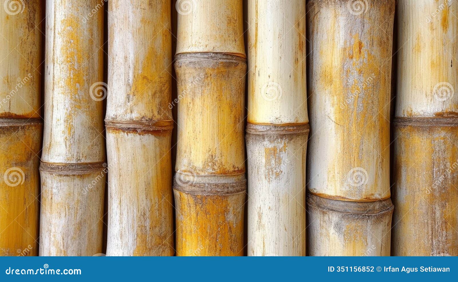 Aged Bamboo Stalks Form a Natural Wall Stock Illustration ...