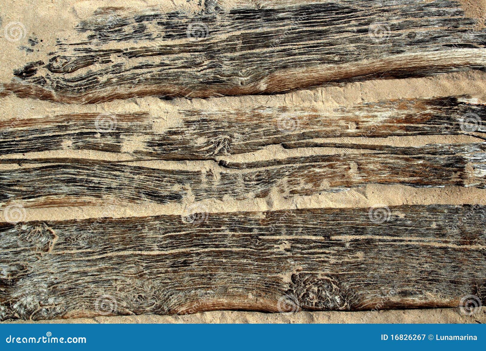 Aged Beach Wood Texture with Sand Weathered Stock Image - Image of ...