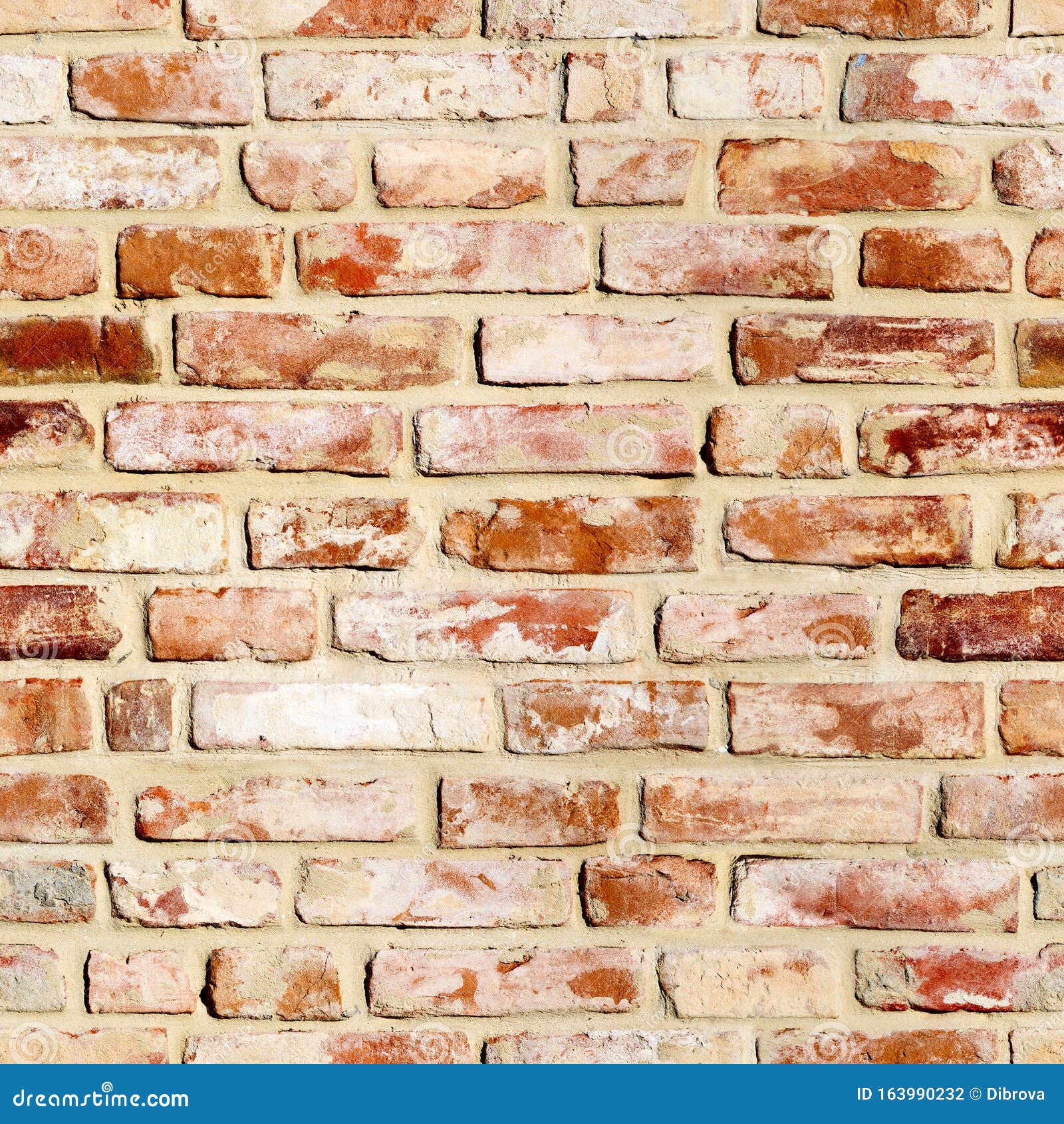 Aged bricks texture stock photo. Image of building, plaster - 163990232