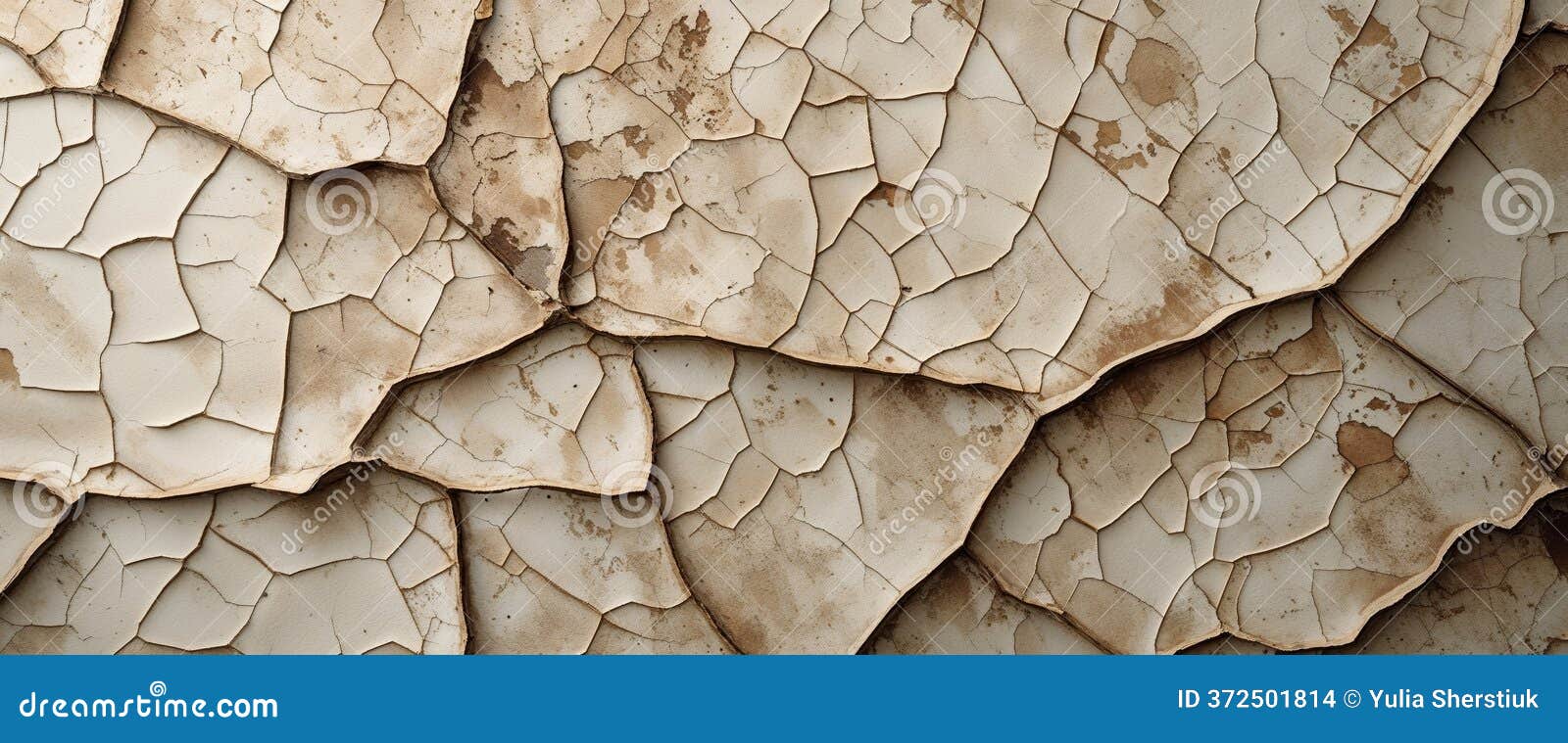 Cracked Paper Surface Textures And Backgrounds Stock Image ...