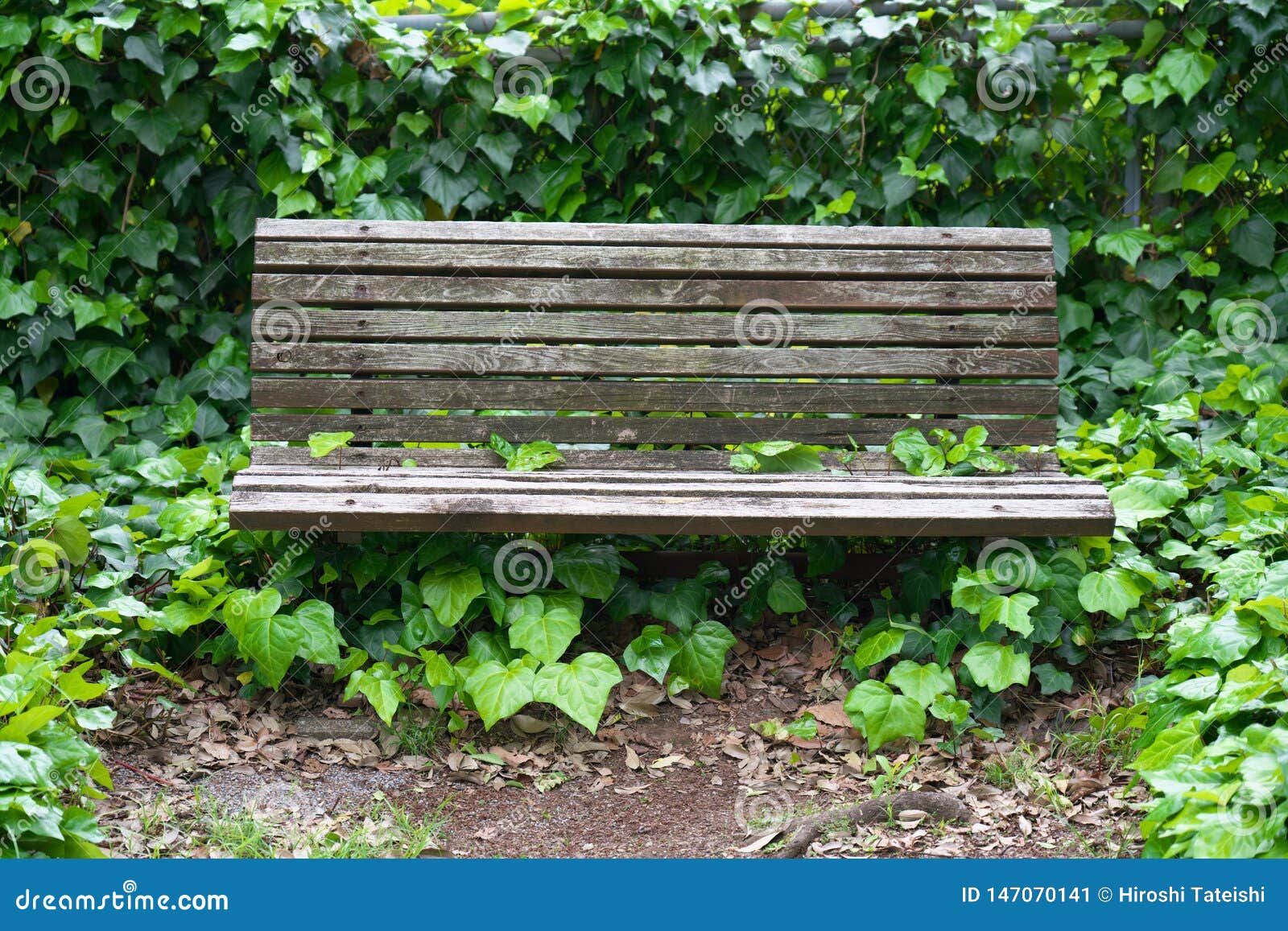 An Aged Dirty Bench in Tokyo Stock Image - Image of mossy, leaf: 147070141